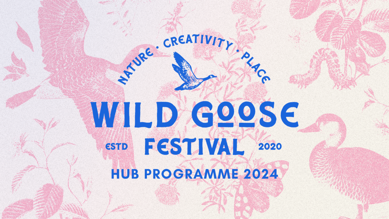 Hub Programme 2024 – Wild Goose Festival